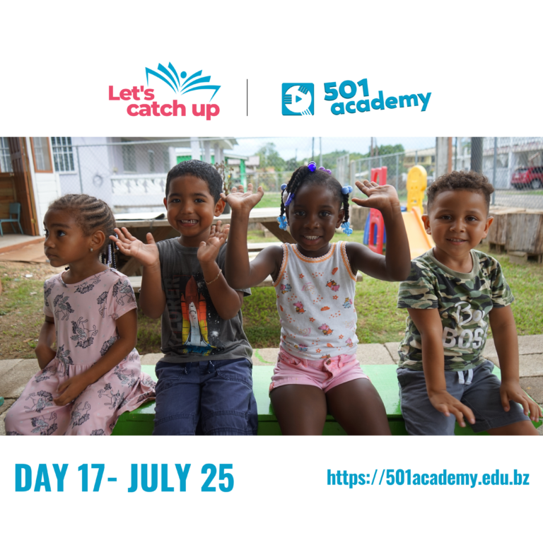 Let’s Catch up - 501academy