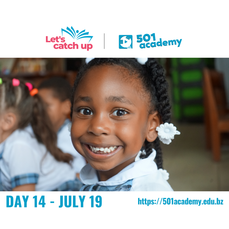 Let’s Catch up - 501academy