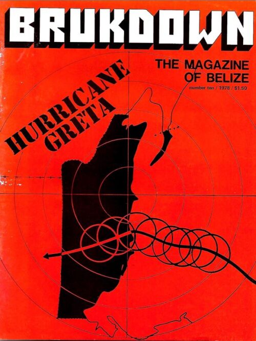 Brukdown Magazine - 501academy