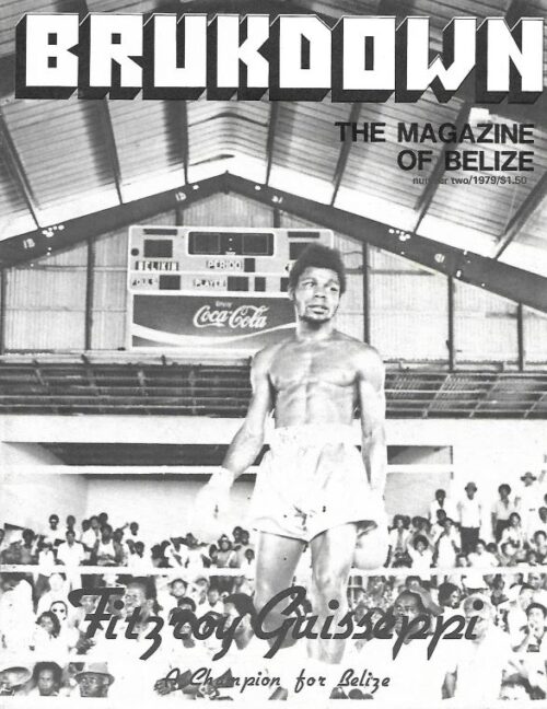 Brukdown Magazine - 501academy