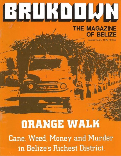 Brukdown Magazine - 501academy