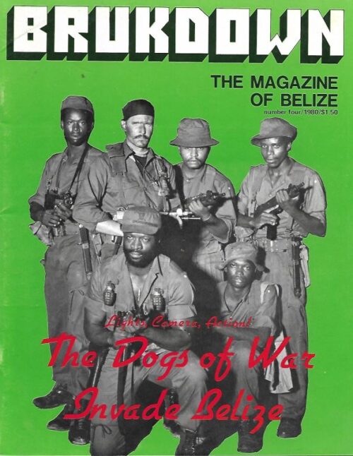Brukdown Magazine - 501academy