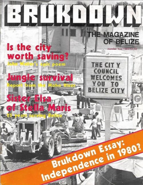 Brukdown Magazine - 501academy
