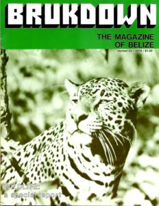 Brukdown Magazine - 501academy