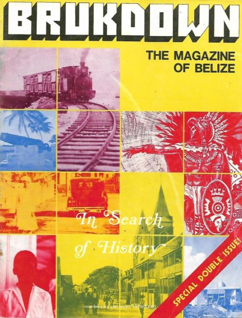 Brukdown Magazine - 501academy