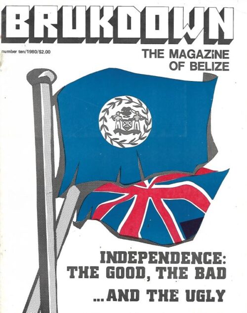 Brukdown Magazine - 501academy