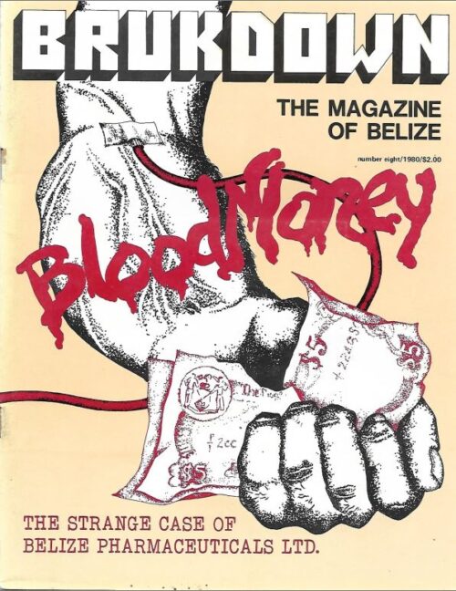 Brukdown Magazine - 501academy